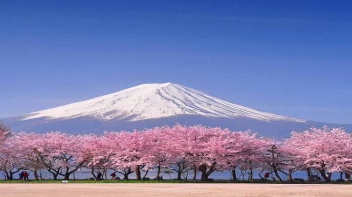 Japan’s Mysterious Inunaki Village: The Place of No Return