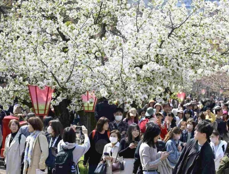 Japan’s Mysterious Inunaki Village: The Place of No Return